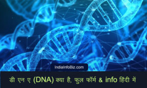 DNA Full Form | डीएनए Meaning क्या है जानिए | IndiaInfoBiz